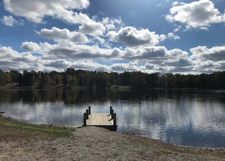 Live with Intent – Grow Your Own Way Therapy